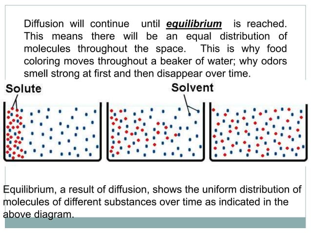 Differentiate between Osmosis and diffusion.ppt Differentiate between Osmosis and diffusion.ppt