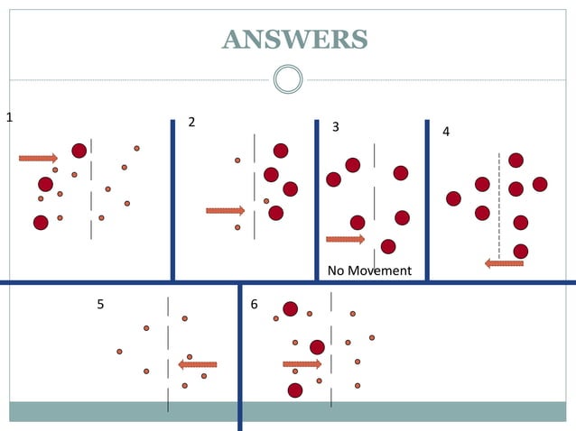 Differentiate between Osmosis and diffusion.ppt Differentiate between Osmosis and diffusion.ppt