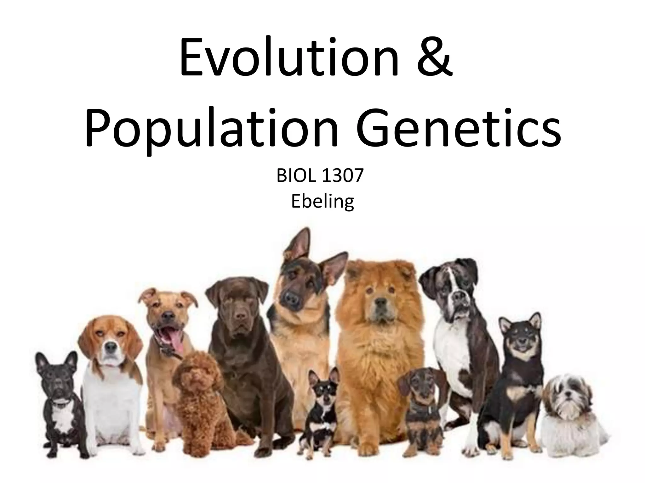 1307 evolution pop genetics f19 blank | PPT