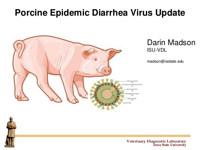 Dr. Darin Madson - Porcine Epidemic Diarrhea Virus Update