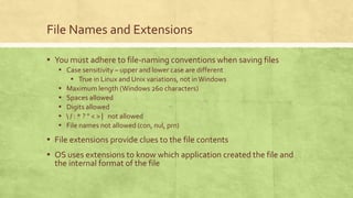 File management | PPT