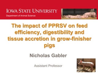Dr. Nick Gabler - The impact of PRRSV on feed efficiency, digestibility ...