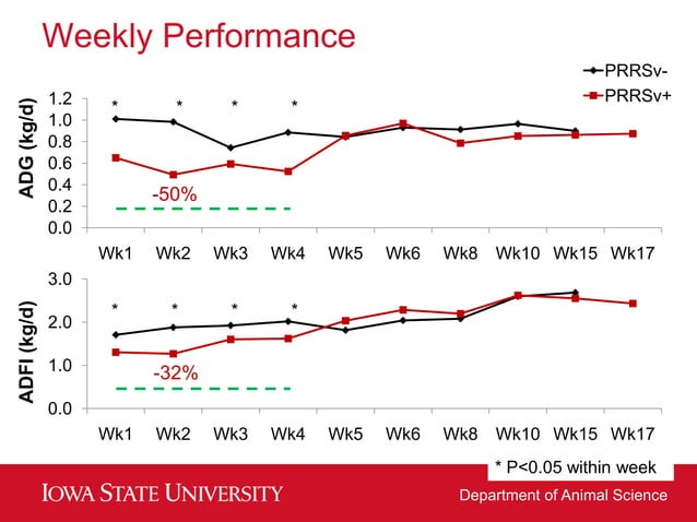 Dr. Nick Gabler - The impact of PRRSV on feed efficiency, digestibility ...