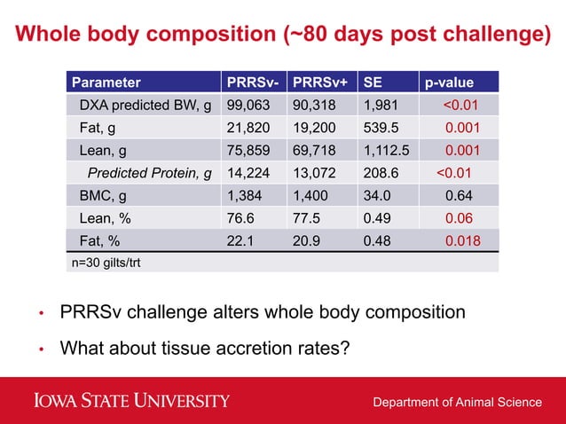 Dr. Nick Gabler - The impact of PRRSV on feed efficiency, digestibility ...