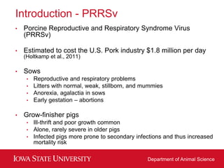 Dr. Nick Gabler - The impact of PRRSV on feed efficiency, digestibility ...