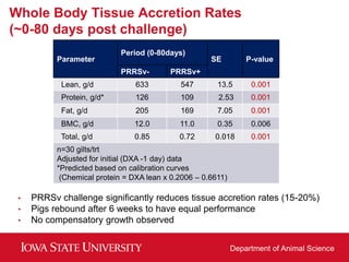 Dr. Nick Gabler - The impact of PRRSV on feed efficiency, digestibility ...