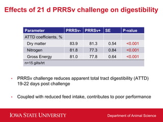 Dr. Nick Gabler - The impact of PRRSV on feed efficiency, digestibility ...