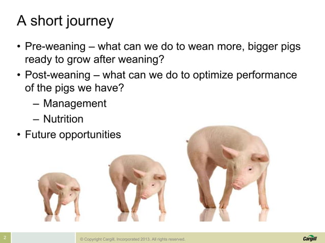 Dr. Don Giesting - Feeding options to fit pig health | PPTX