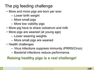 Dr. Don Giesting - Feeding options to fit pig health | PPTX