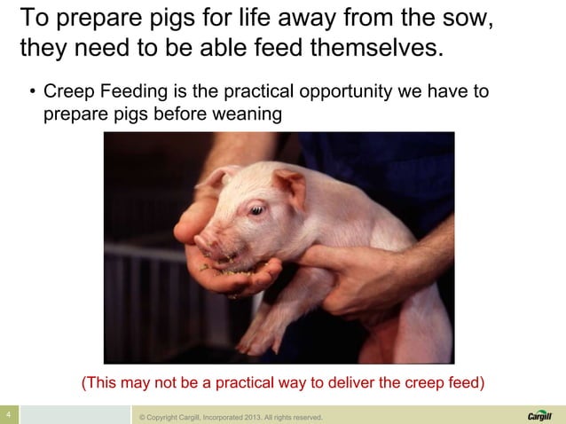 Dr. Don Giesting - Feeding options to fit pig health | PPTX
