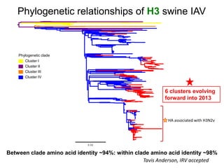 Dr. Amy Vincent - H3N2 influenza A virus in swine and the human-animal ...