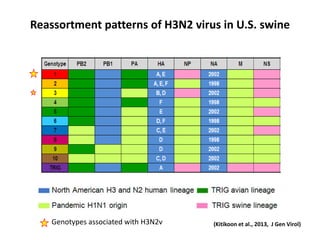 Dr. Amy Vincent - H3N2 influenza A virus in swine and the human-animal ...