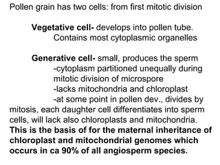 130 ovule development revised | PPT