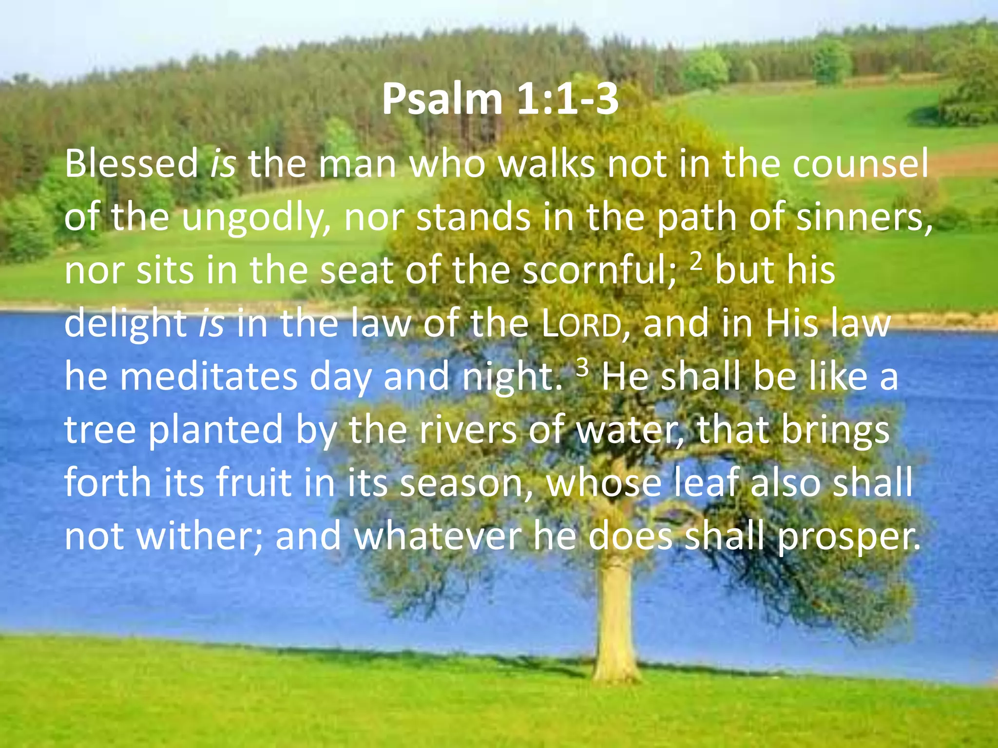 Metaphors for Apostates - Jude 12-13 | PPT