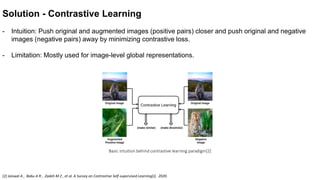 [ICIP 2022] MMGL: Multi-Scale Multi-View Global-Local Contrastive ...