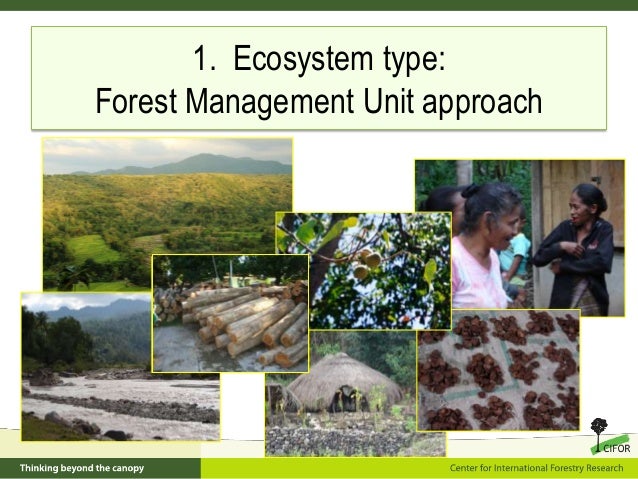Forest Management Unit (FMU): As an approach in Forest Landscape Rest…