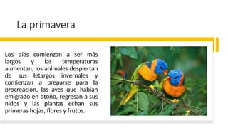 CIENCIAS NATURALES ESTACIONES DEL AÑO.pptx