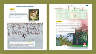 CIENCIAS NATURALES ESTACIONES DEL AÑO.pptx