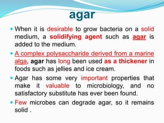 method of studing microbial 13114527.ppt