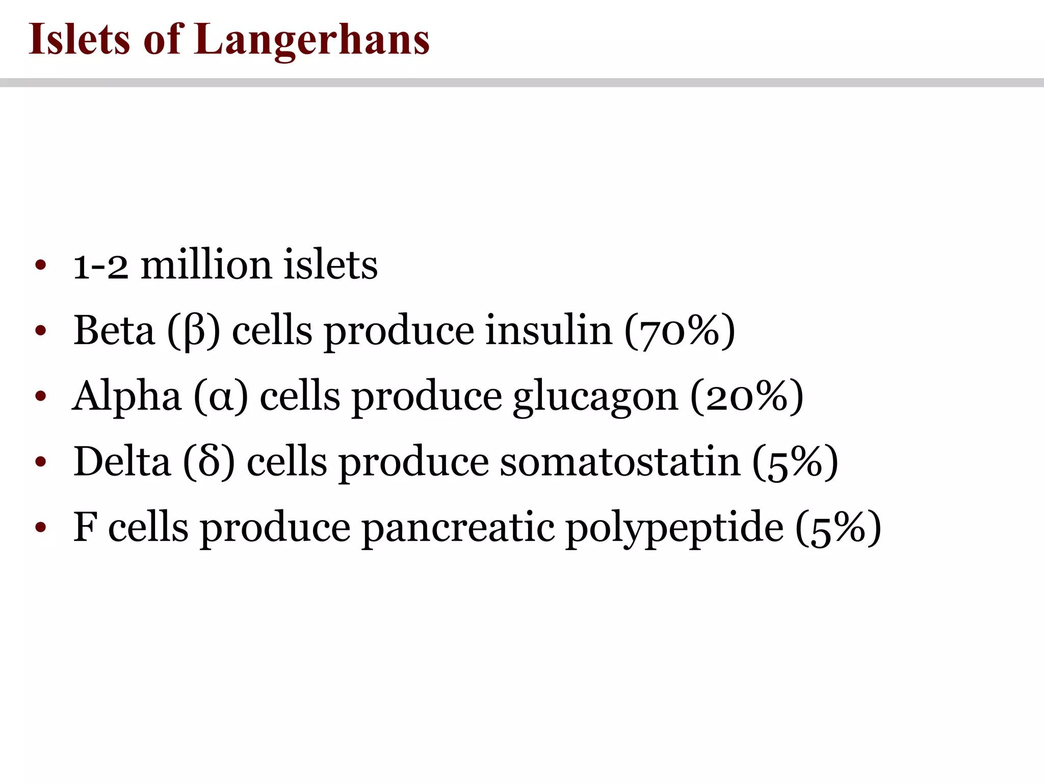 13,14-The Endocrine Pancreas 2016.ppt
