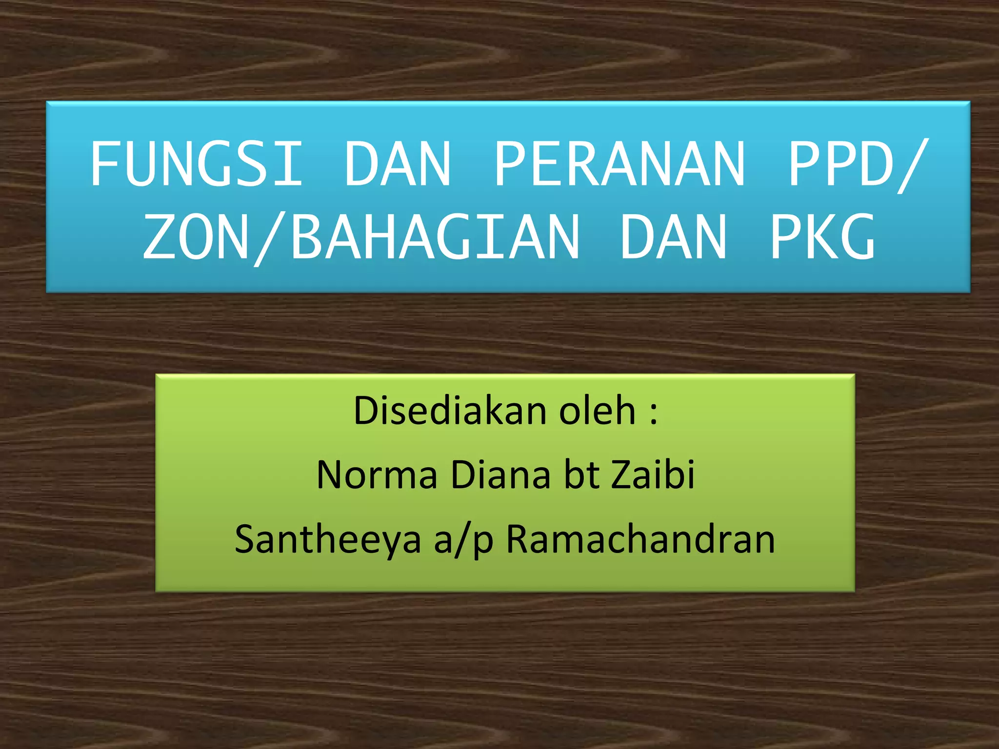 131605128 fungsi-dan-peranan-ppd | PPT