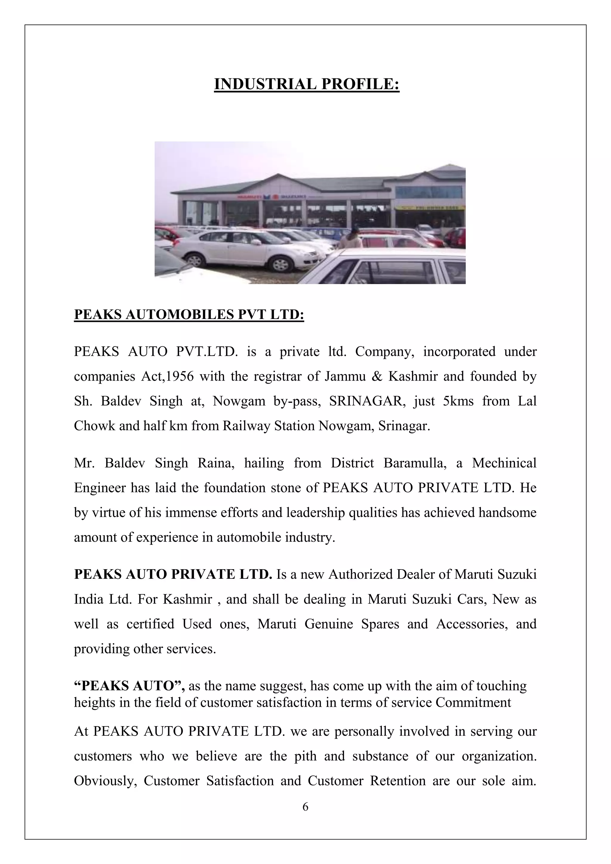 131644022 peaks-auto | DOCX