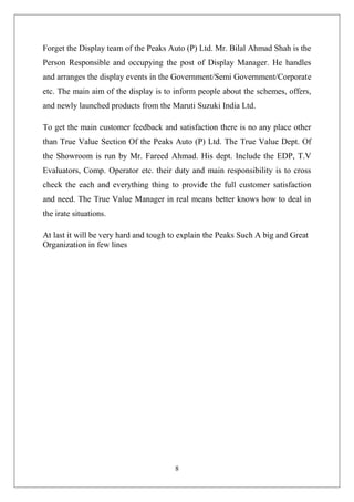 131644022 peaks-auto | DOCX
