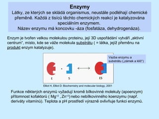 1316 uvod do histologie | PPT