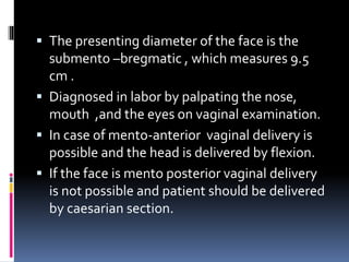 This is the relationship of the longitudinal axis of the fetus to ...