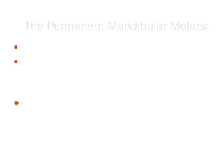 Difference-Between-Mandibular-First-Molar-and-Second-Molar | PPT