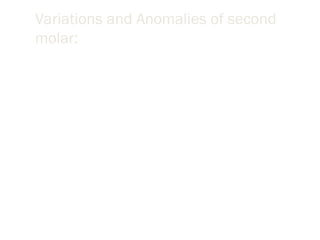 Difference-Between-Mandibular-First-Molar-and-Second-Molar | PPT