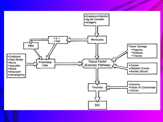 13197169 copy dic.pptx describes the DIC | PPTX