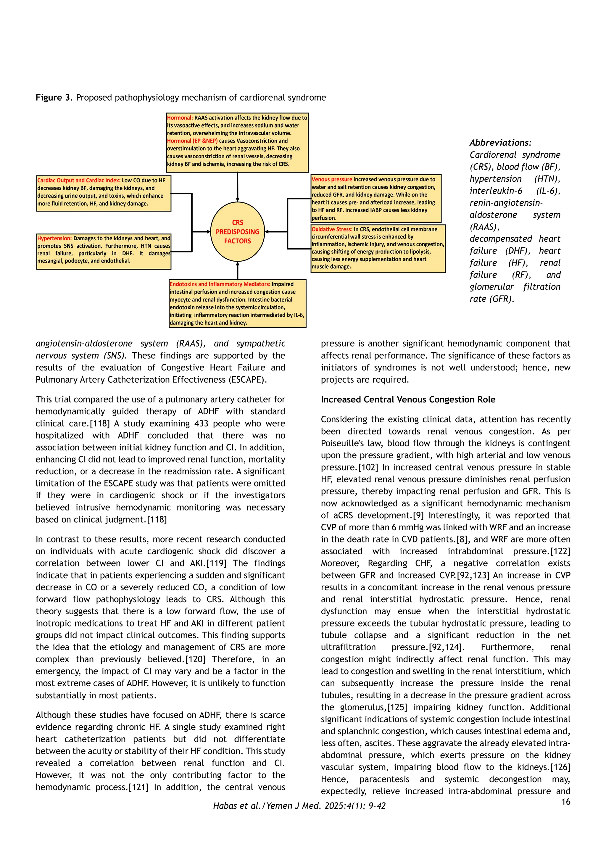 Cardiorenal, Renocardiac, and Reno-CardioCardiac Syndromes: An Updated ...