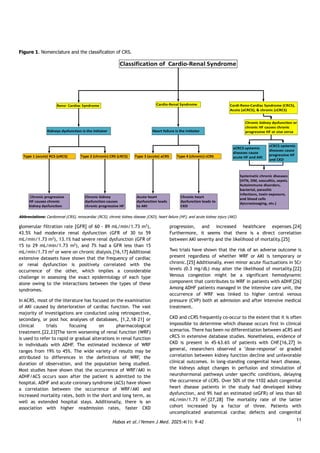 Cardiorenal, Renocardiac, and Reno-CardioCardiac Syndromes: An Updated ...