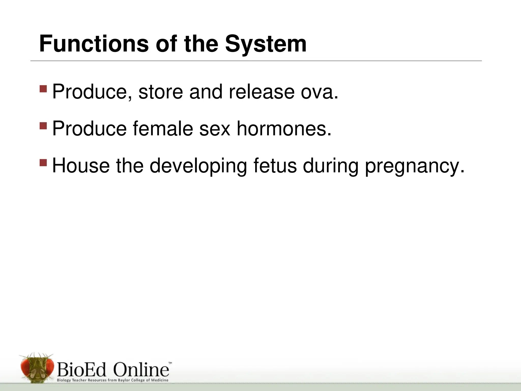 seven presentation female reproductive system 132.ppt