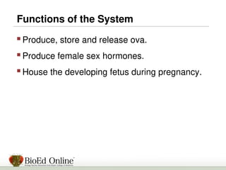 seven presentation female reproductive system 132.ppt