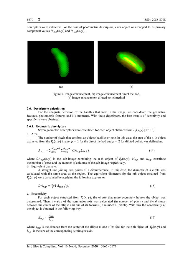 A Novel Algorithm For Detection Of Tuberculosis Bacilli In Sputum Smear Fluorescence Images Pdf