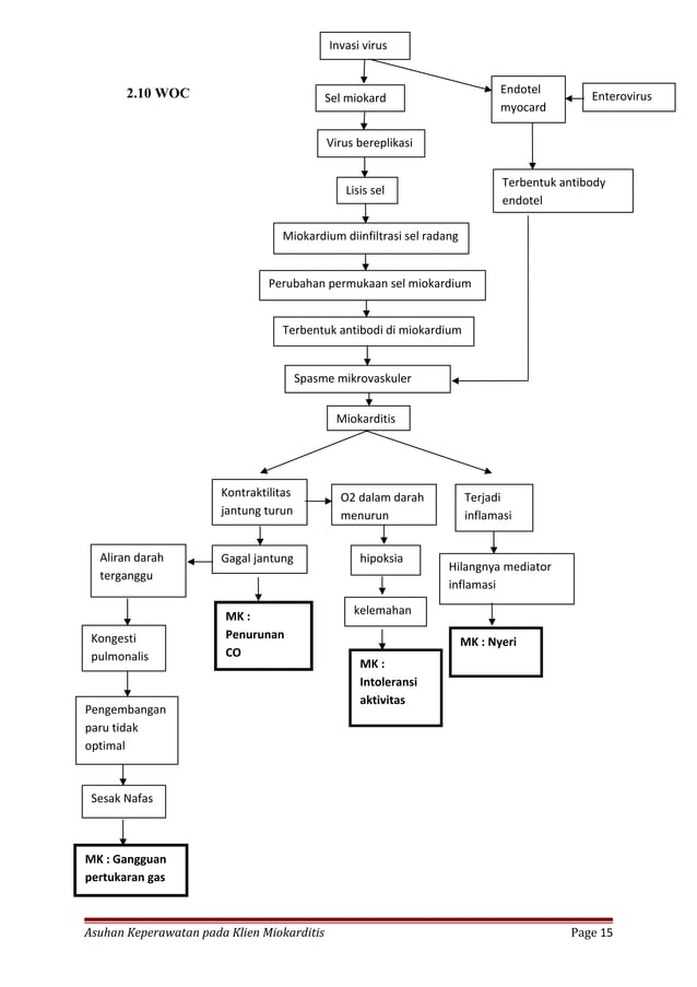 132084983 woc-miokarditis | PDF | Free Download