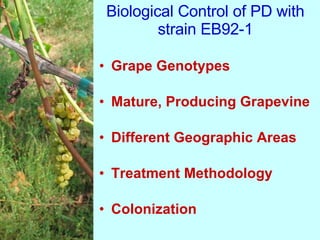 Influence of grape genotype, plant growth stage, and geographic ...
