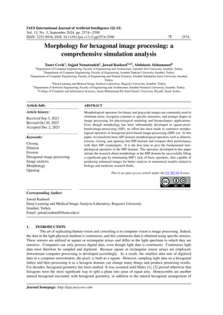 Morphology for hexagonal image processing: a comprehensive simulation analysis | PDF