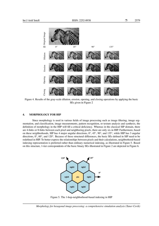 Morphology for hexagonal image processing: a comprehensive simulation analysis | PDF