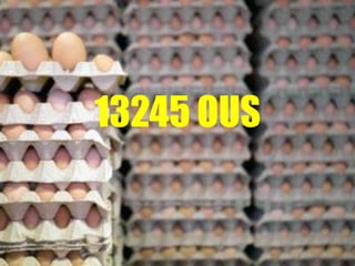 13245 ous | PPTX