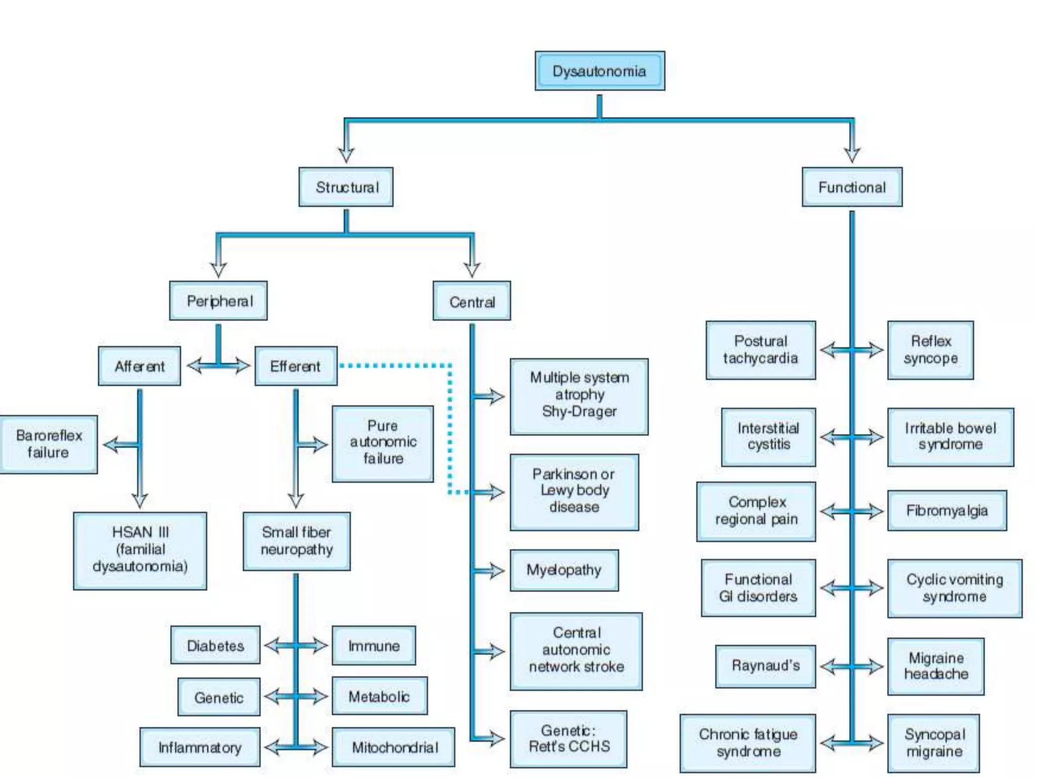 autonomic dysfunction and itz bedside tests | PPTX