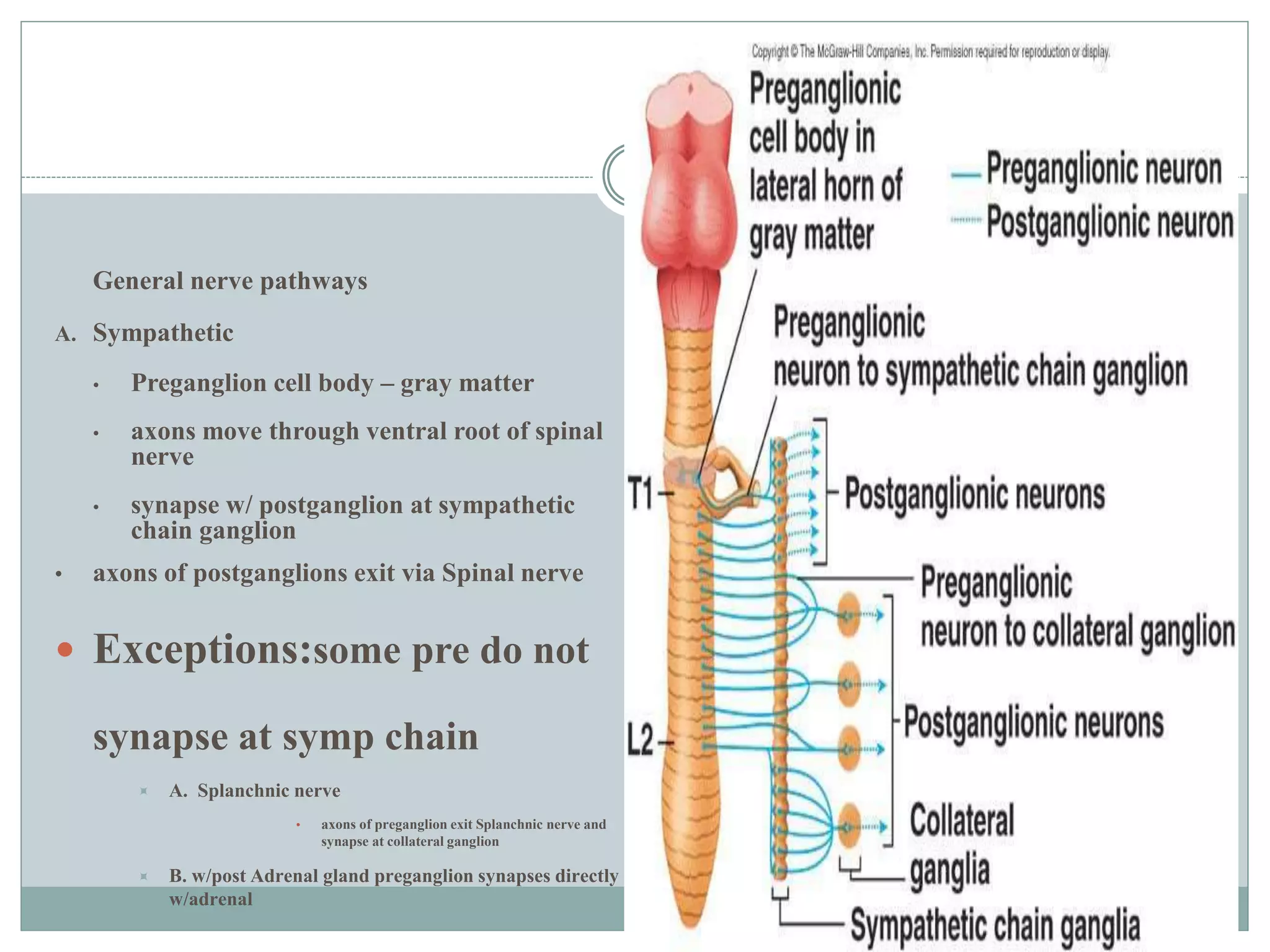 autonomic dysfunction and itz bedside tests | PPTX