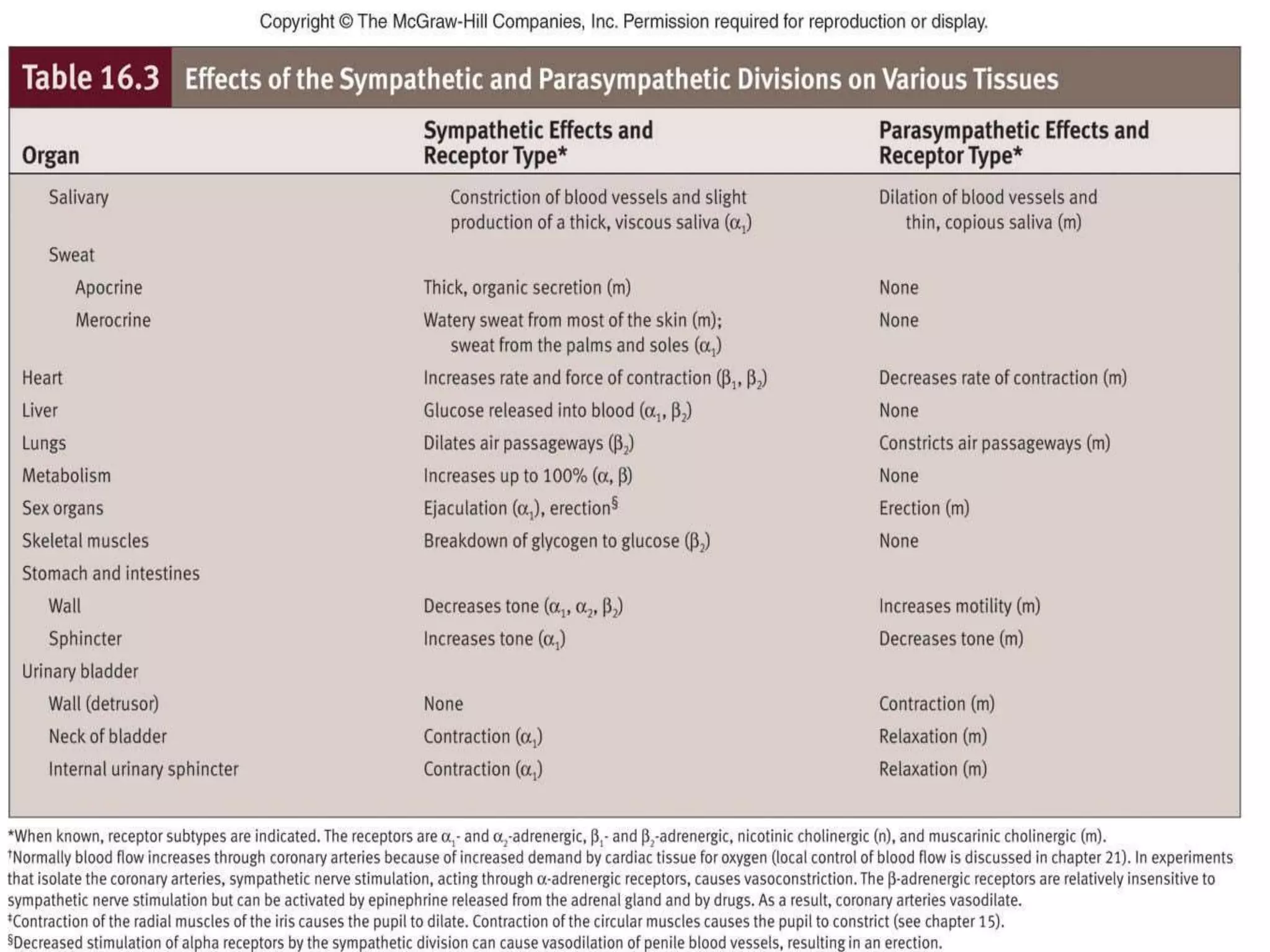 autonomic dysfunction and itz bedside tests | PPTX