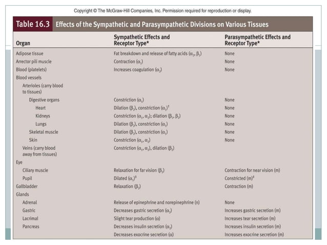 autonomic dysfunction and itz bedside tests | PPTX