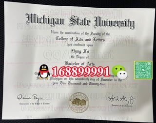 Michigan State University degree offer diploma Transcript | PPT