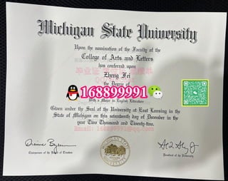 Michigan State University degree offer diploma Transcript | PDF ...