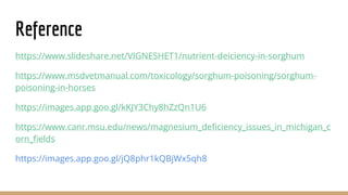 133-B.Chandini-deficiency and toxicity in sorghum .pptx