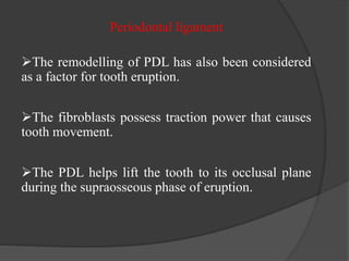tooth eruption | PPT